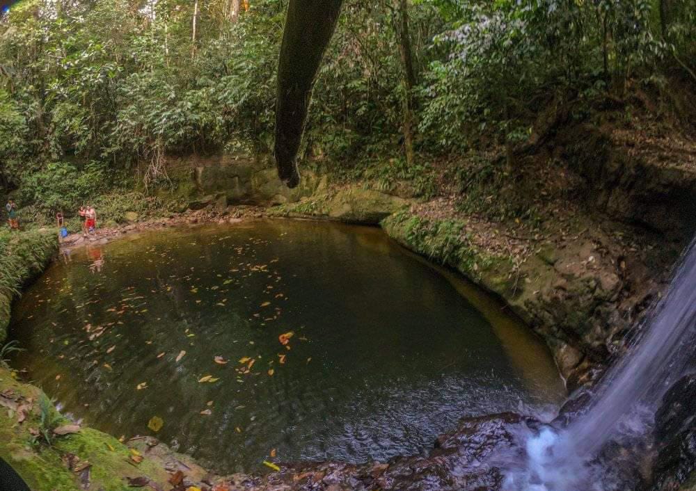 Poza Santa Rosa de Chachi: Un paraíso natural en Ucayali | Diario Jornada